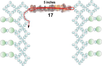chip-component-diagram1 - BeadDiagrams.com